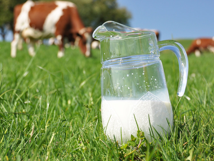 Vollmilch & Co sind besser als ihr Ruf | aponet.de