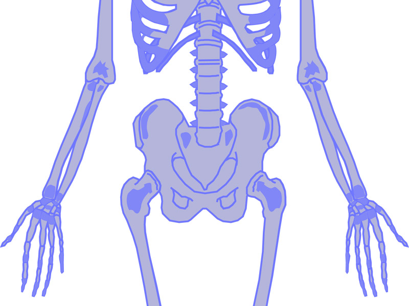 Die Knochen | aponet.de